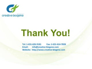 ATAC-seq protocol--Creative Biogene | PPT