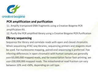 ATAC-seq protocol--Creative Biogene | PPT