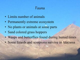 Atacama desert | PPTX
