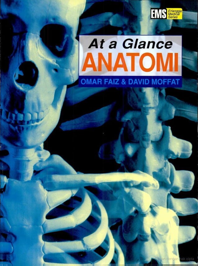 At a Glance Anatomi | PDF