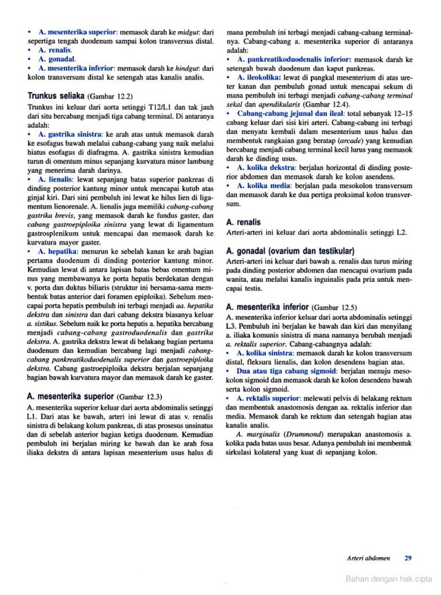 At a Glance Anatomi | PDF