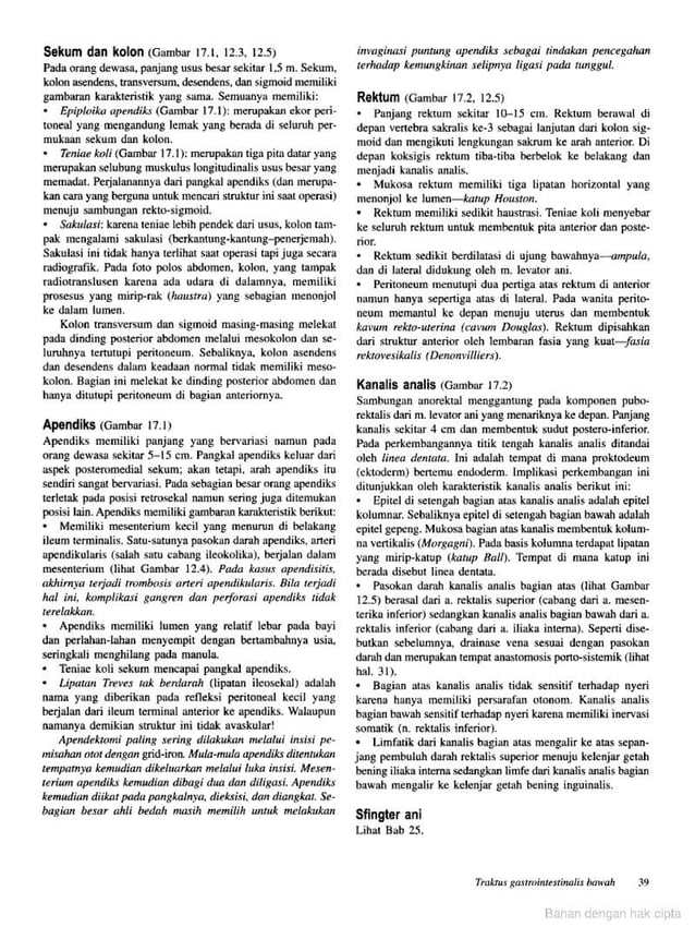 At a Glance Anatomi | PDF