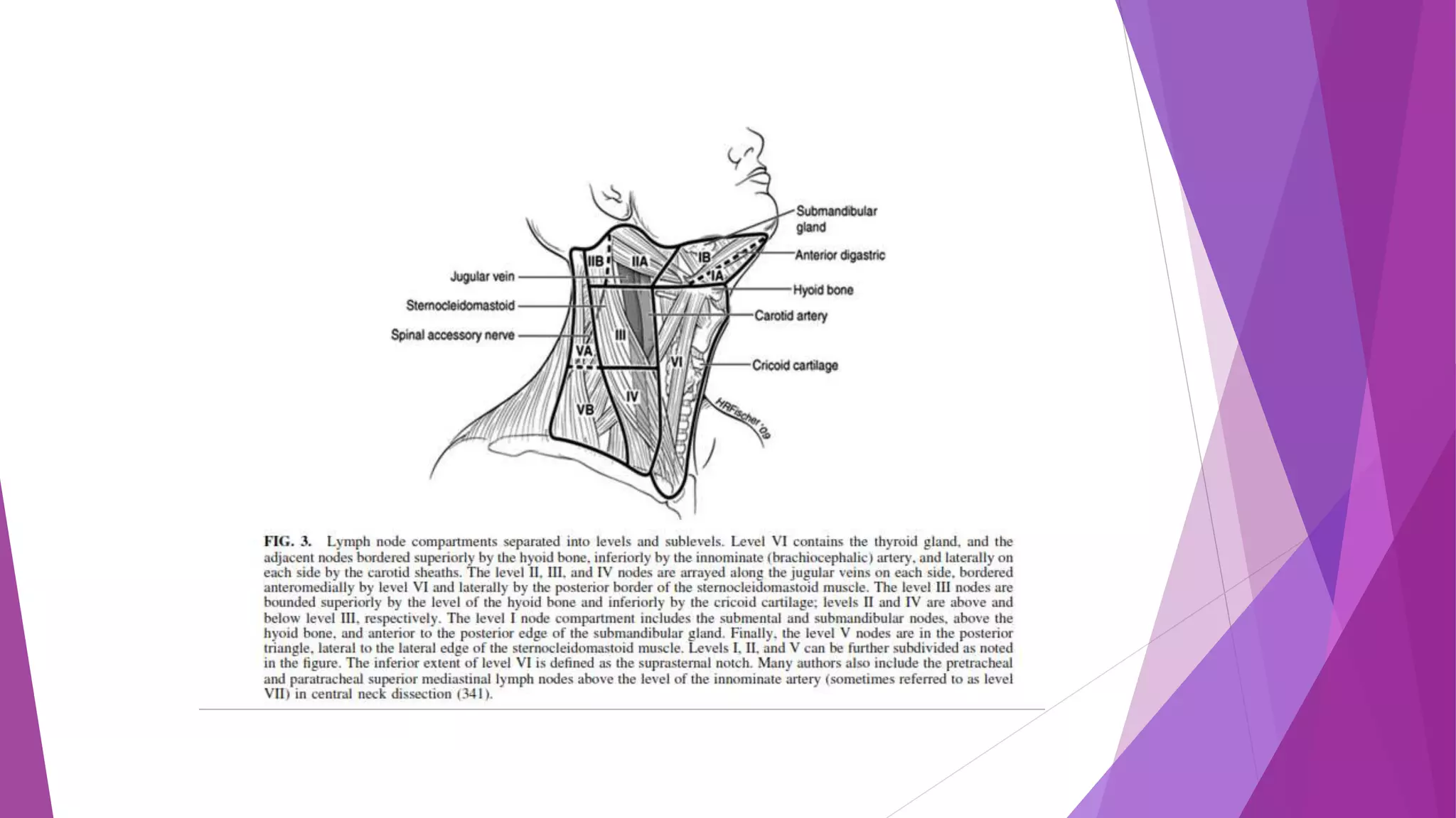 ATA Guideline in Carcinoma thyroid Nodule_2015.pptx