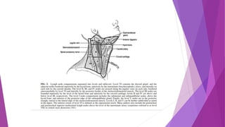 ATA Guideline in Carcinoma thyroid Nodule_2015.pptx