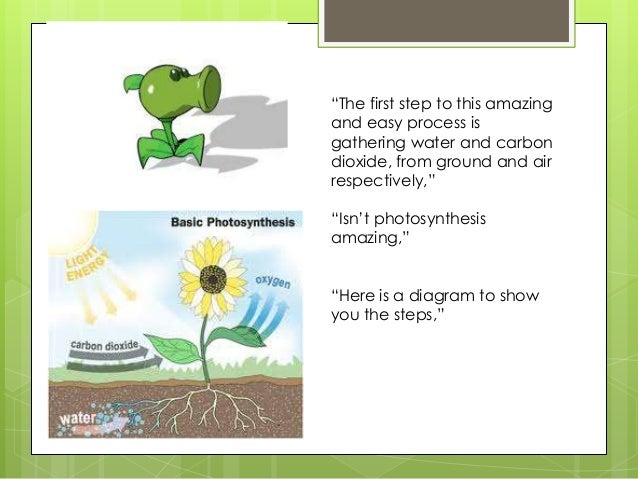A tale of photosynthesis.kalen.eric