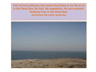 A tale of two seas | PPT