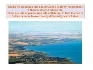 A tale of two seas | PPT