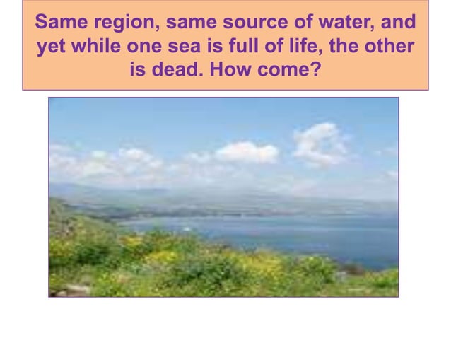 A tale of two seas | PPT