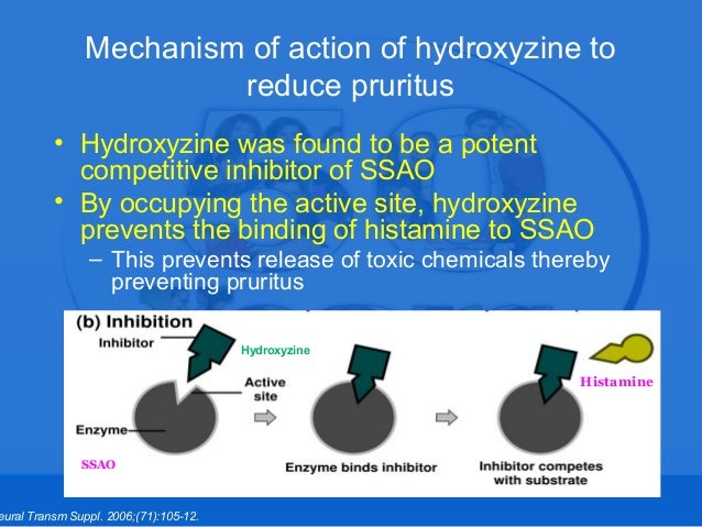 Chronic pruritus - linkages between skin & psyche, current treatment