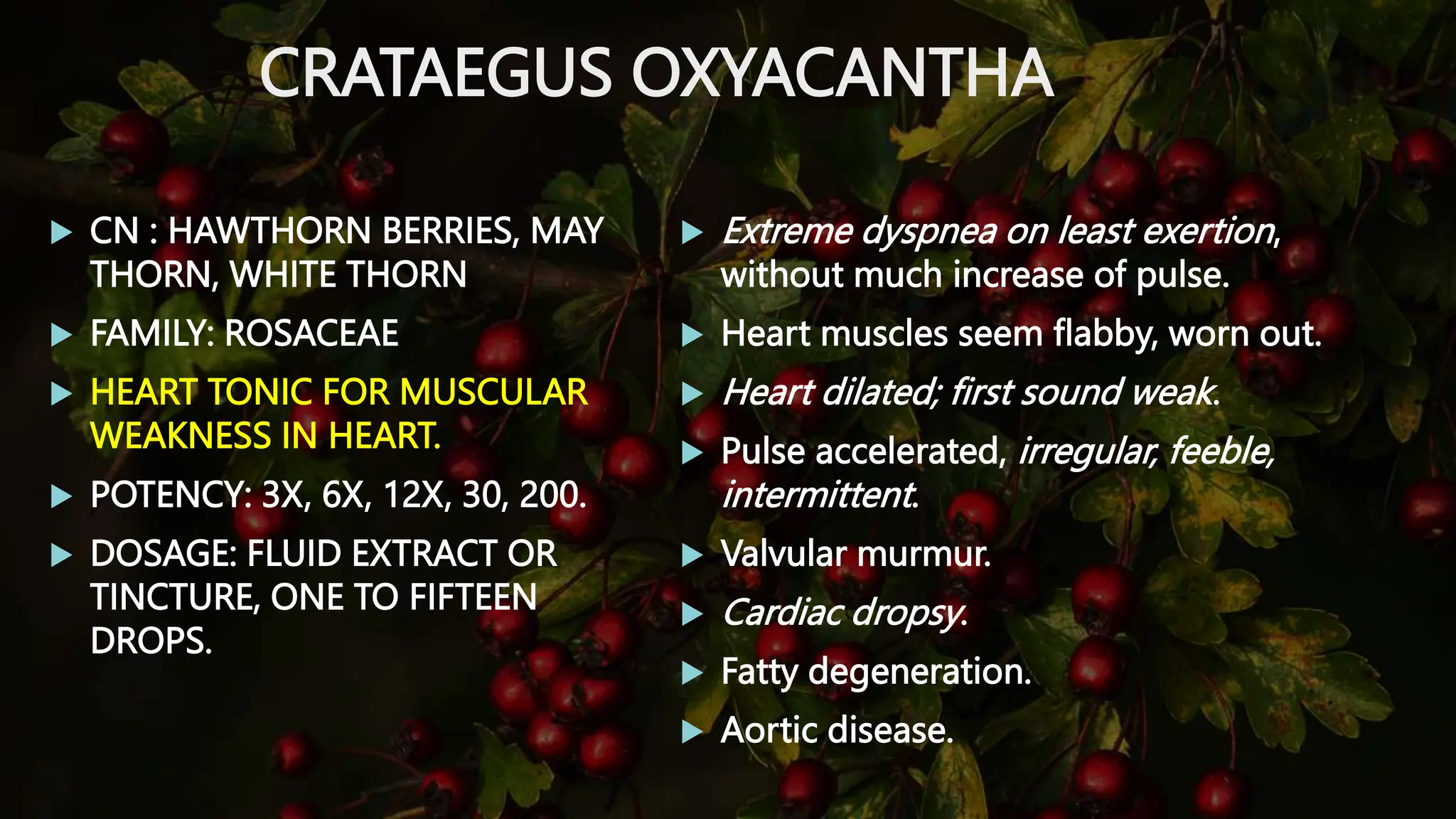 THERAPEUTICS OF CARDIAC DISEASES.BHMS.MATERIA MEDICA.HOMOEOPATHY | PPTX