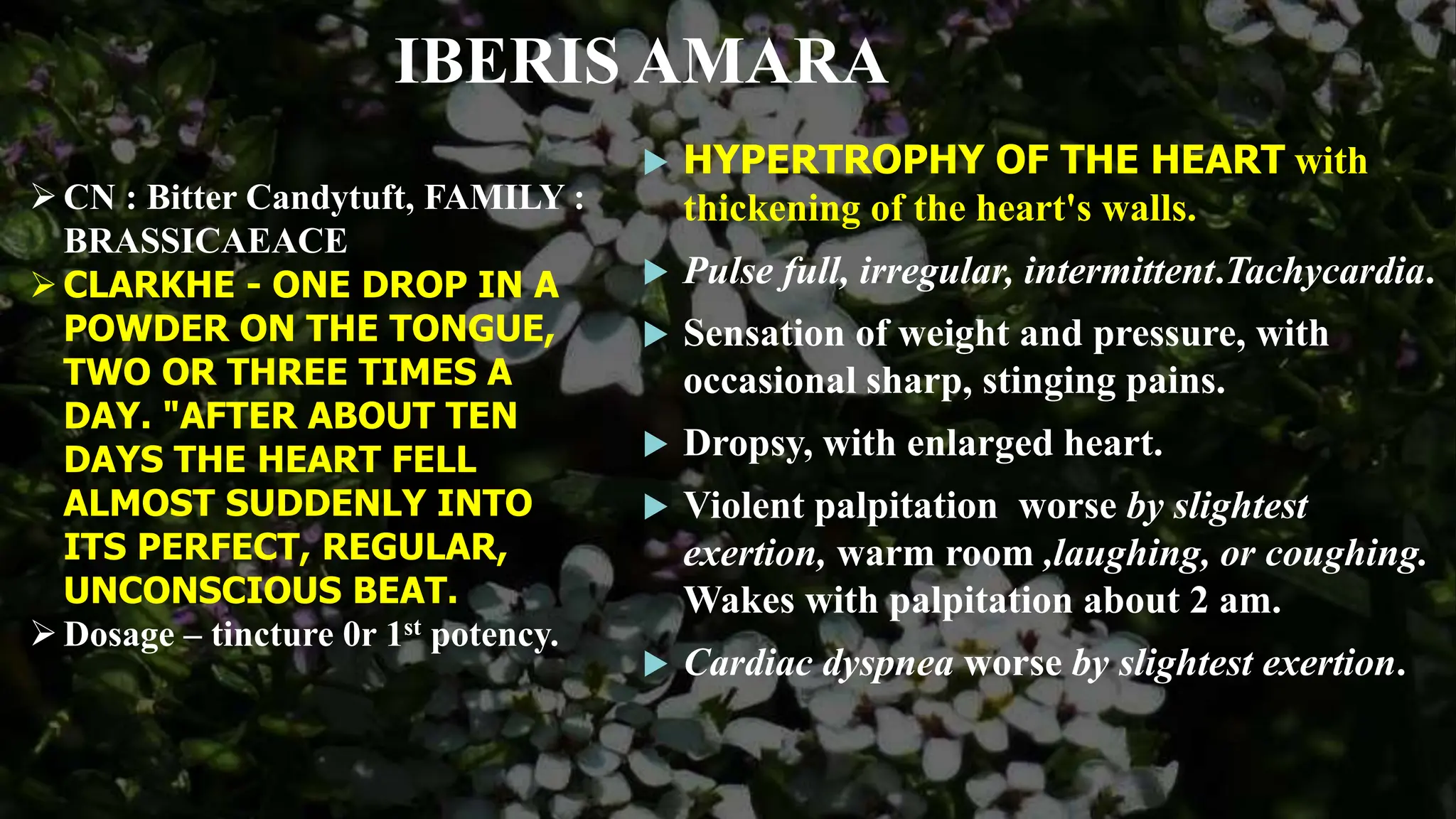 THERAPEUTICS OF CARDIAC DISEASES.BHMS.MATERIA MEDICA.HOMOEOPATHY | PPTX