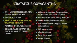 THERAPEUTICS OF CARDIAC DISEASES.BHMS.MATERIA MEDICA.HOMOEOPATHY | PPTX