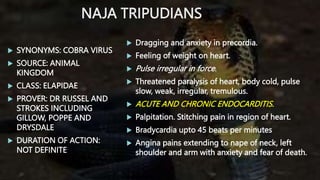 THERAPEUTICS OF CARDIAC DISEASES.BHMS.MATERIA MEDICA.HOMOEOPATHY | PPTX