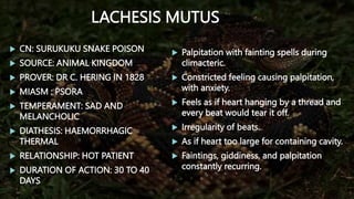 THERAPEUTICS OF CARDIAC DISEASES.BHMS.MATERIA MEDICA.HOMOEOPATHY | PPTX