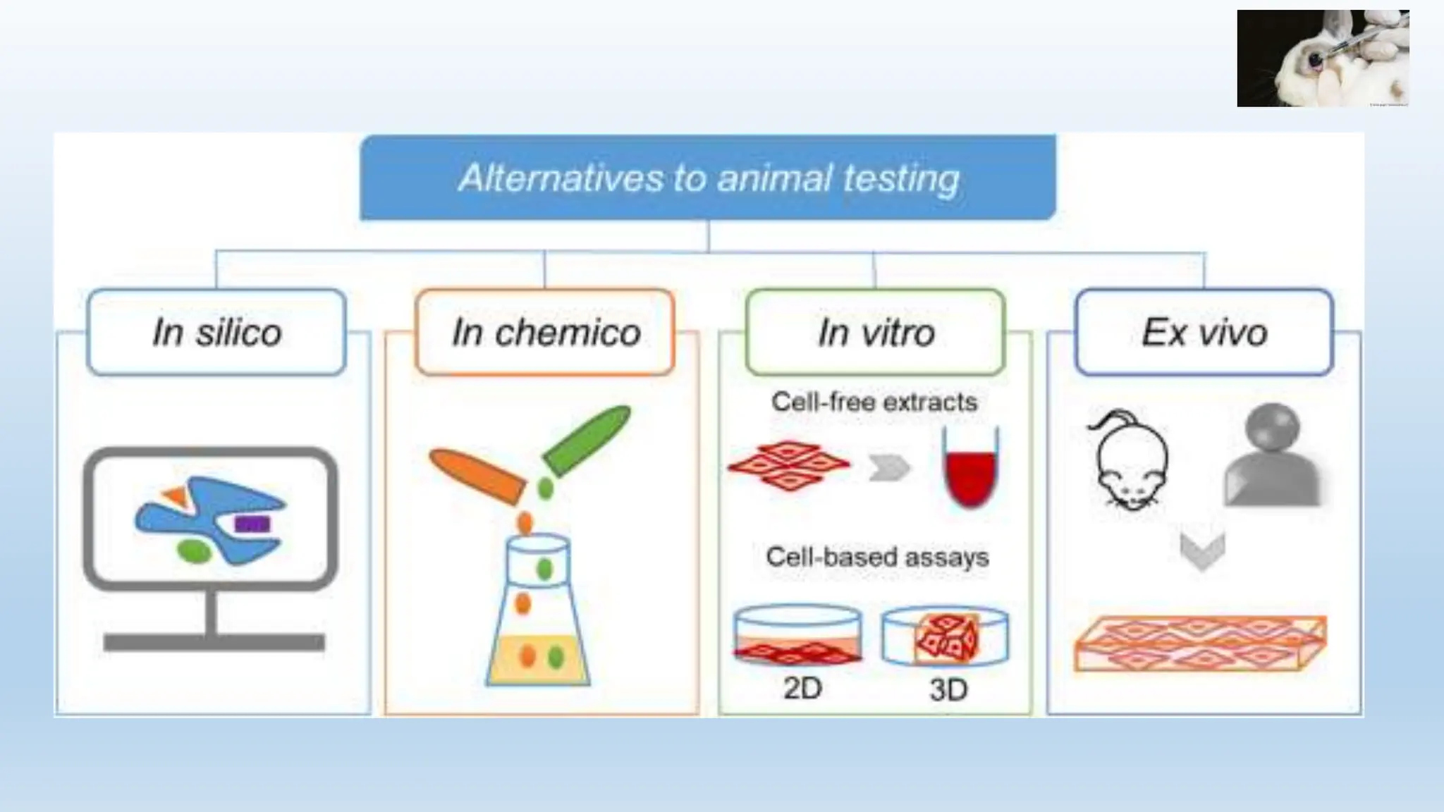 Alternatives to animal testing | PPTX