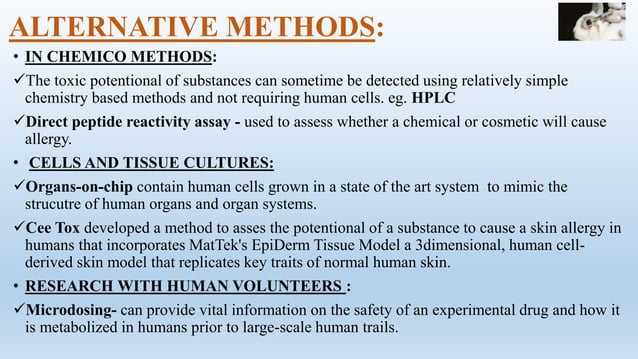 Alternatives to animal testing | PPTX | Veterinary Medicine | Pets