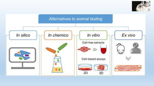 Alternatives to animal testing | PPTX | Veterinary Medicine | Pets