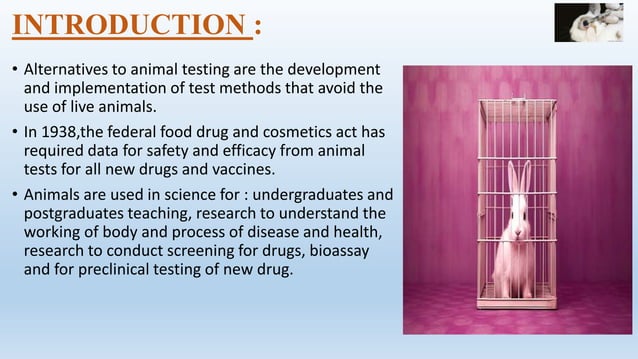 Alternatives to animal testing | PPTX | Veterinary Medicine | Pets