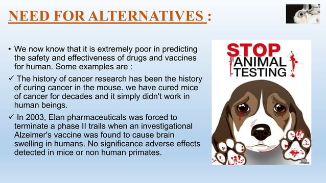 Alternatives to animal testing | PPTX | Veterinary Medicine | Pets