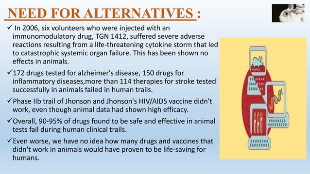 Alternatives to animal testing | PPTX | Veterinary Medicine | Pets
