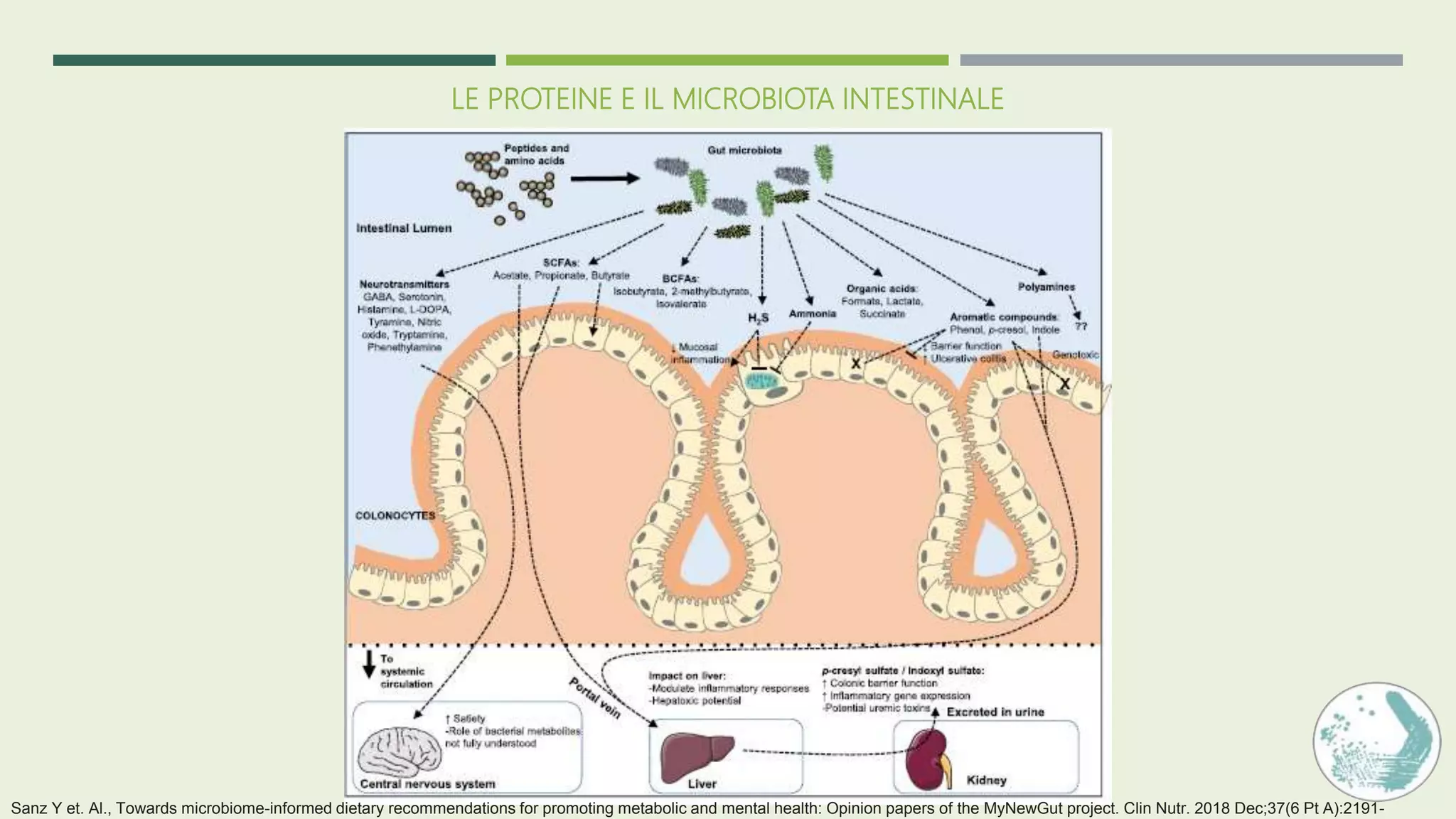 A tavola con il microbiota intestinale | PPTX