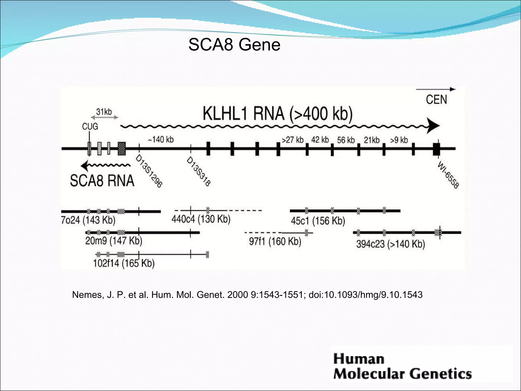 Clinical Features and Molecular Genetics of Hereditary Cerebellar ...
