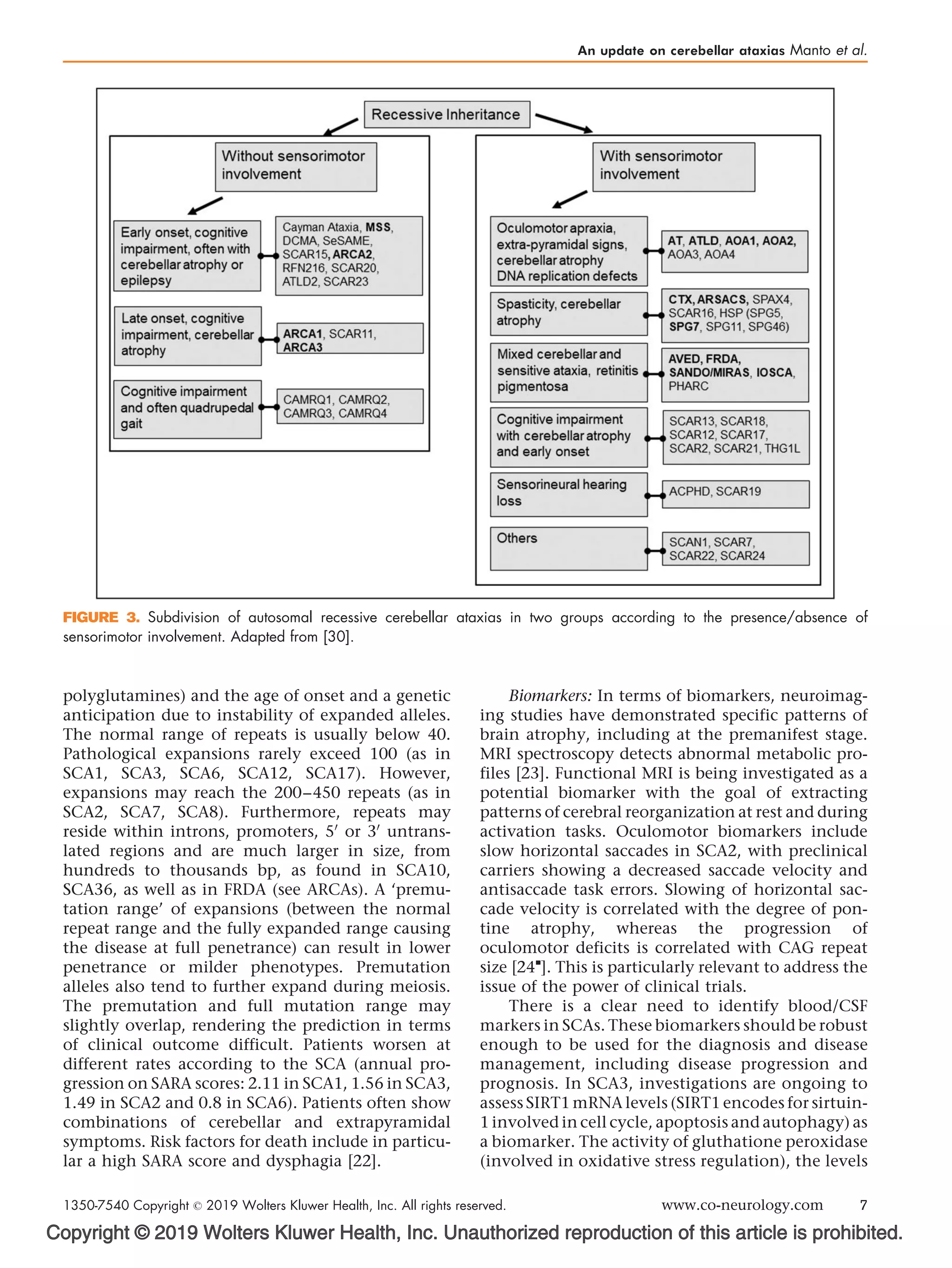 ATAXIA ACTUALIZACION_1.pdf