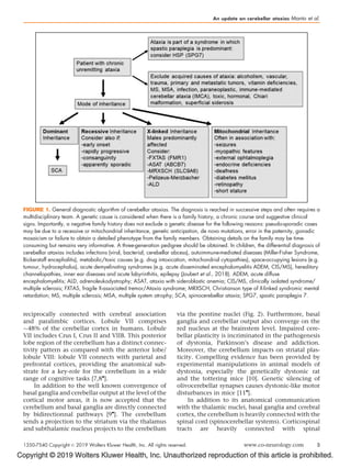ATAXIA ACTUALIZACION_1.pdf