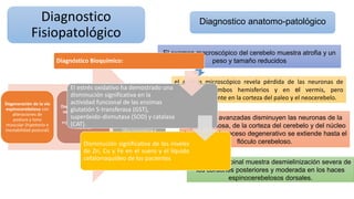 Ataxia espinocerebelosa final | PPTX