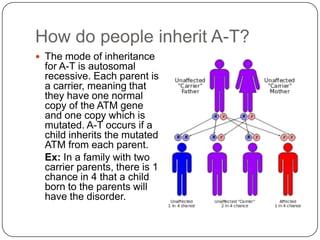 Ataxia telangiecsta Anatomy Project | PPTX