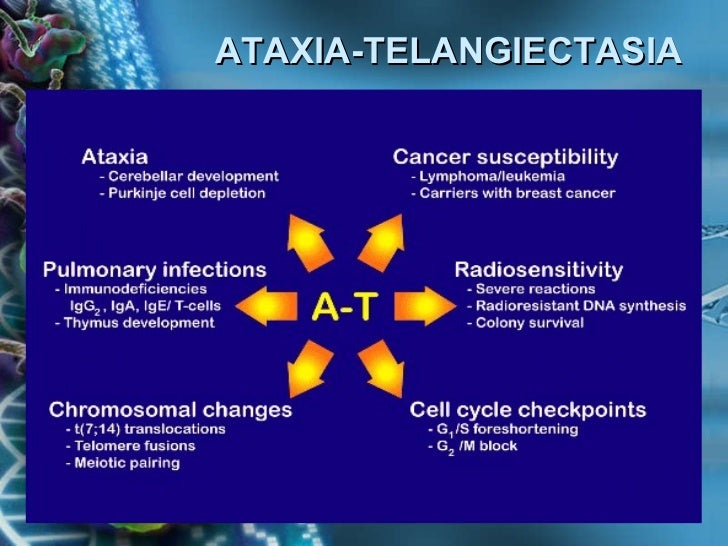Via De Sinalizacao Celular Da Ataxia Telangiectasia