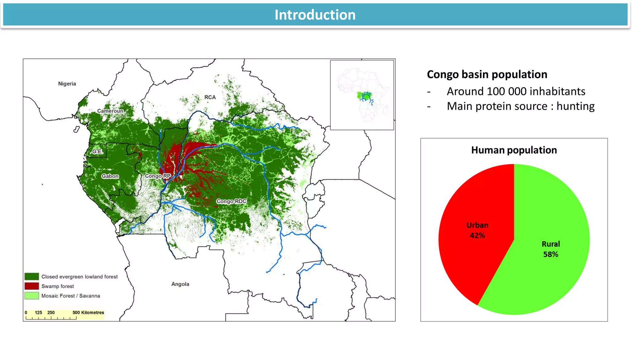 Should African governments pull bushmeat trade out the shadows in the ...