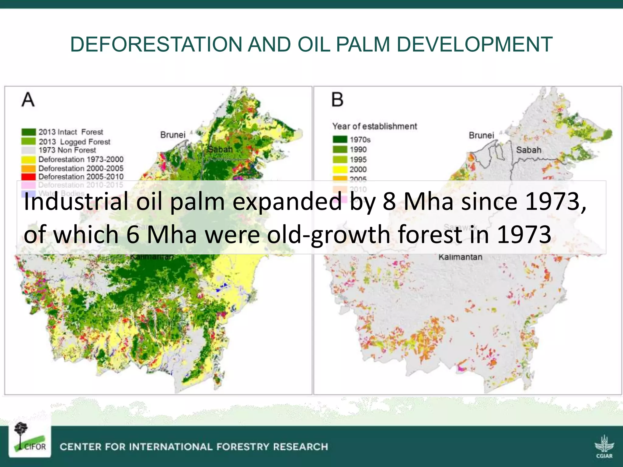Four decades of forest degradation: Fire And oil palm expansion in ...