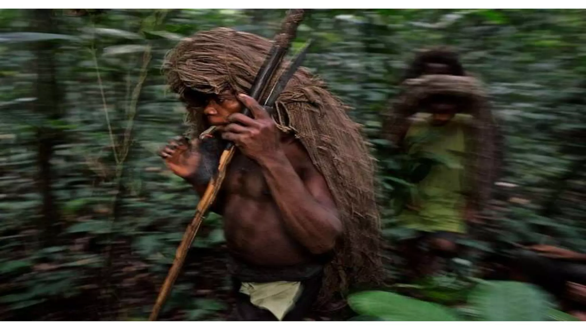 Space for Hunting: Understanding Indigenous and other Hunters’ Impacts ...