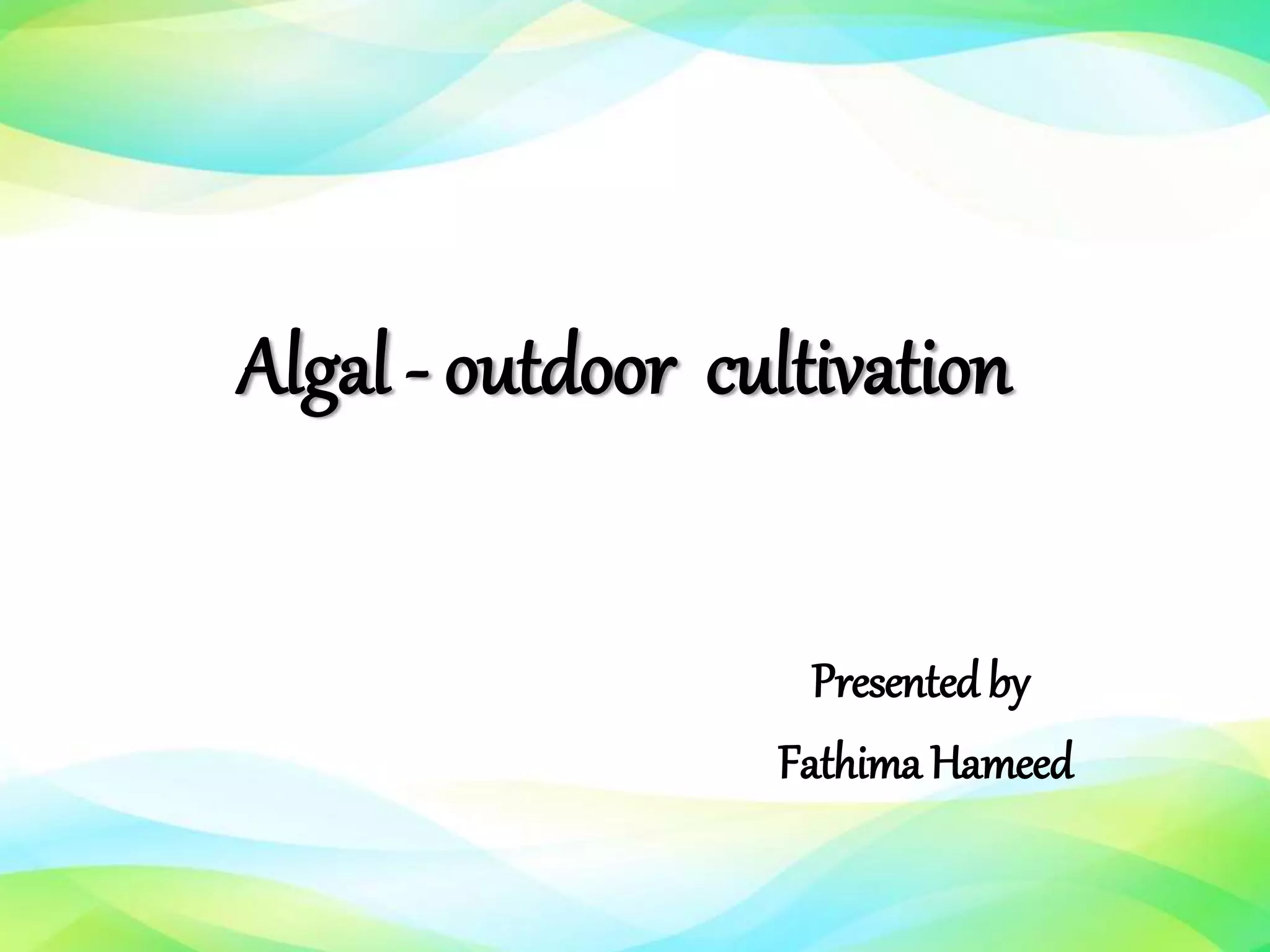 algal cultivation | PPTX