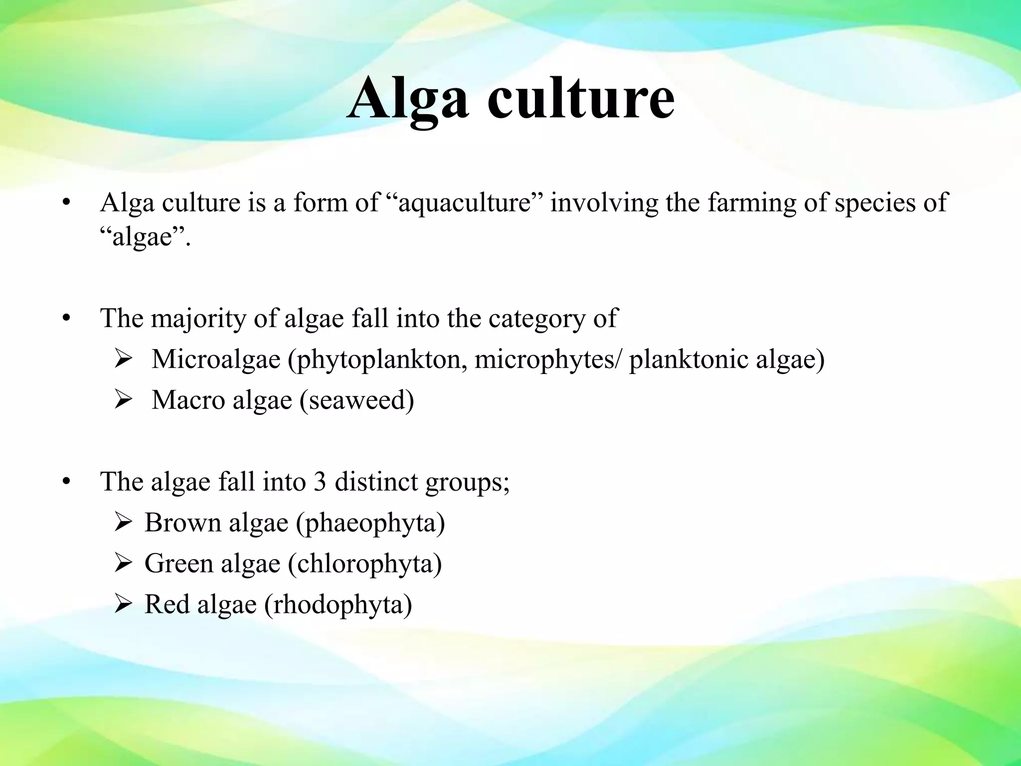 algal cultivation | PPTX