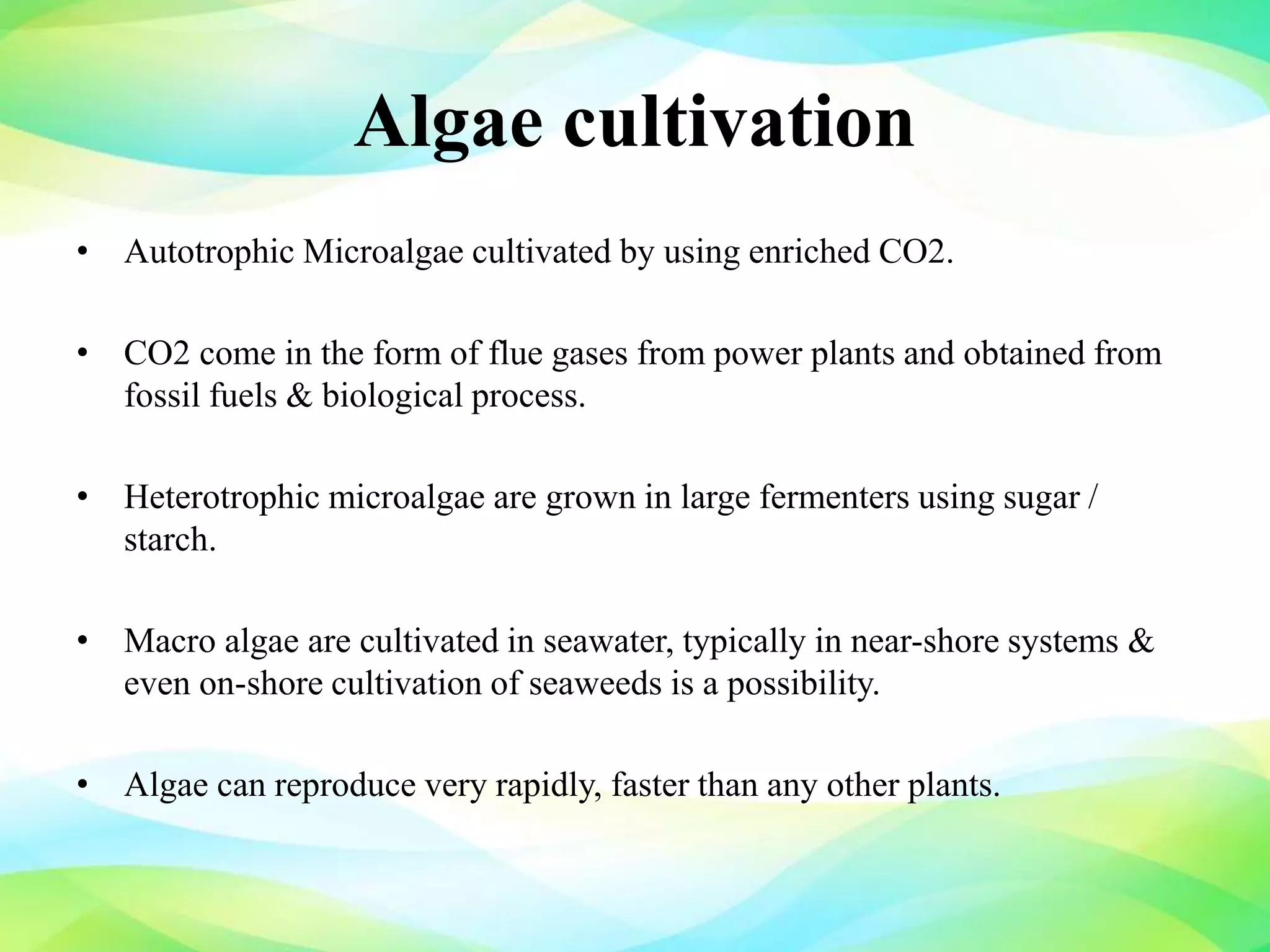 algal cultivation | PPTX