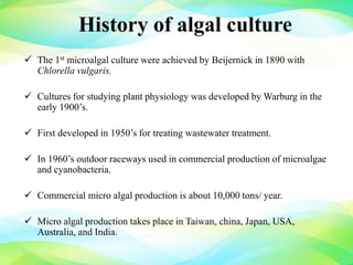 algal cultivation | PPTX