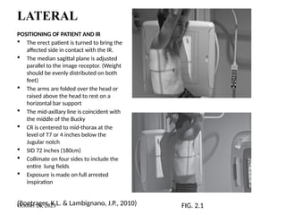 Lung and Thorax X-ray: The Supplementary Projectionspptx | PPTX