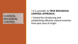 Pavithran ppt document agriculture AEN.pptx