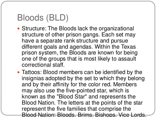 Catching Up with Our Teens: Drug & Gang Lingo