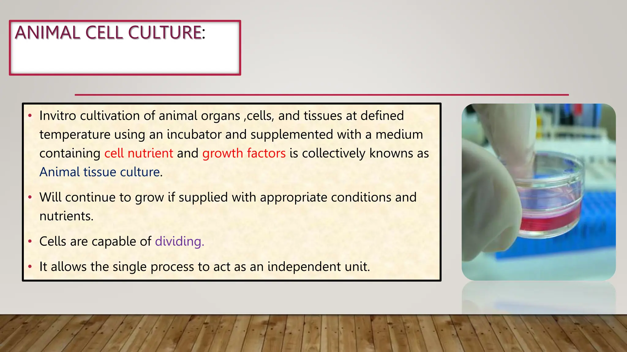 The title of this presentation is :-Establishment of animal tissue ...