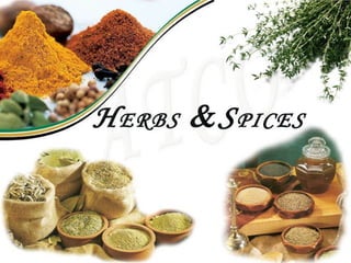 Atco E-Catalogue | PPS