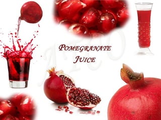 Atco E-Catalogue | PPS