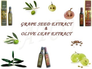 Atco E-Catalogue | PPS