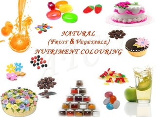 Atco E-Catalogue | PPS