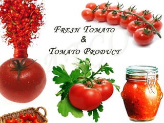 Atco E-Catalogue | PPS