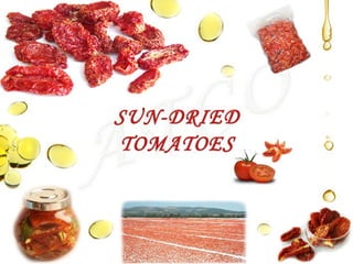 Atco E-Catalogue | PPS