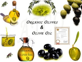 Atco E-Catalogue | PPS