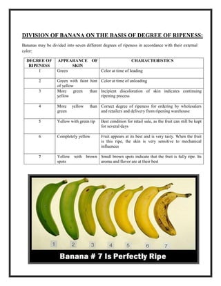 A technical guide book of banana | PDF